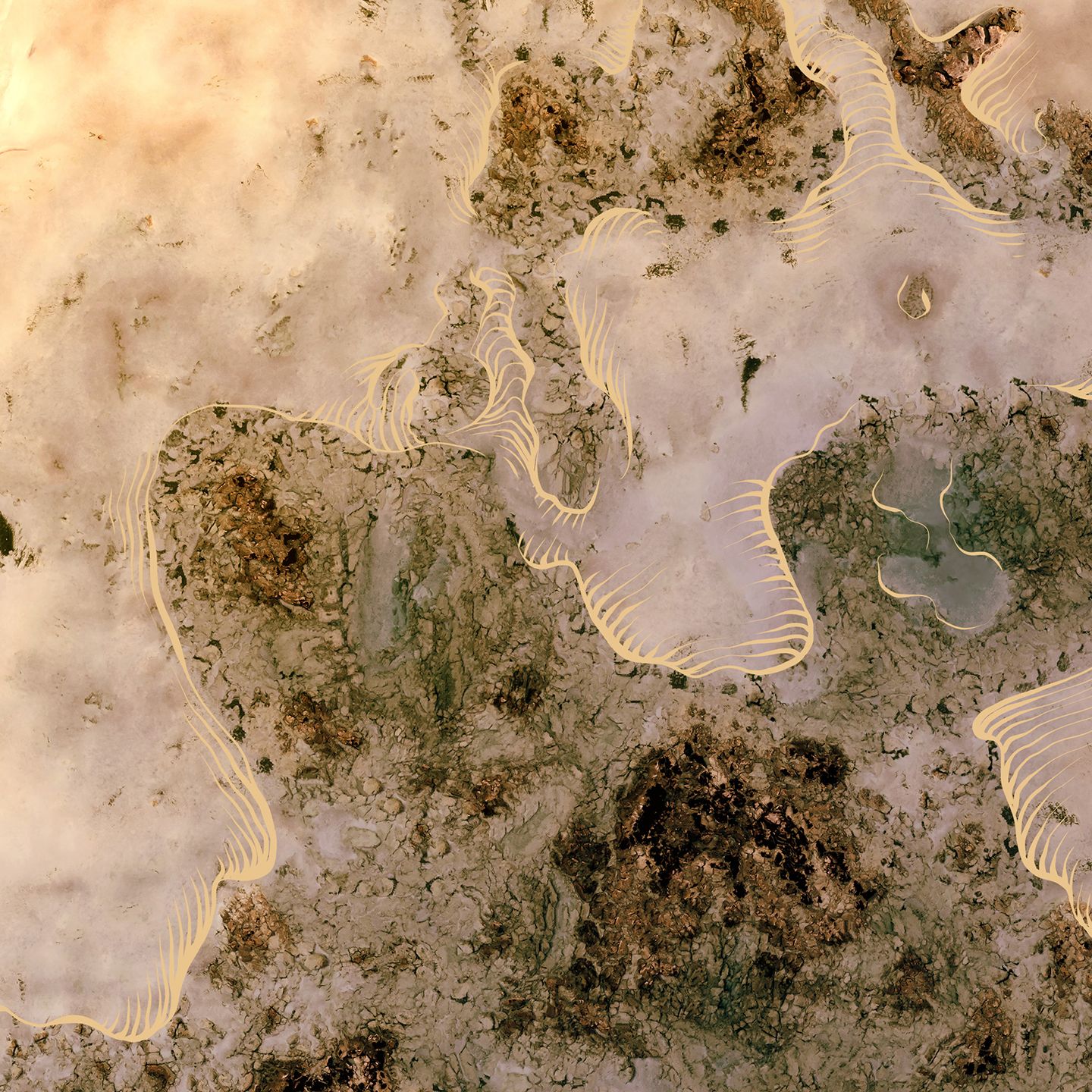 EXCLUSIVE PREMIERE: Atsuko Chiba Are Back With "Seeds" | Heavy Blog is Heavy