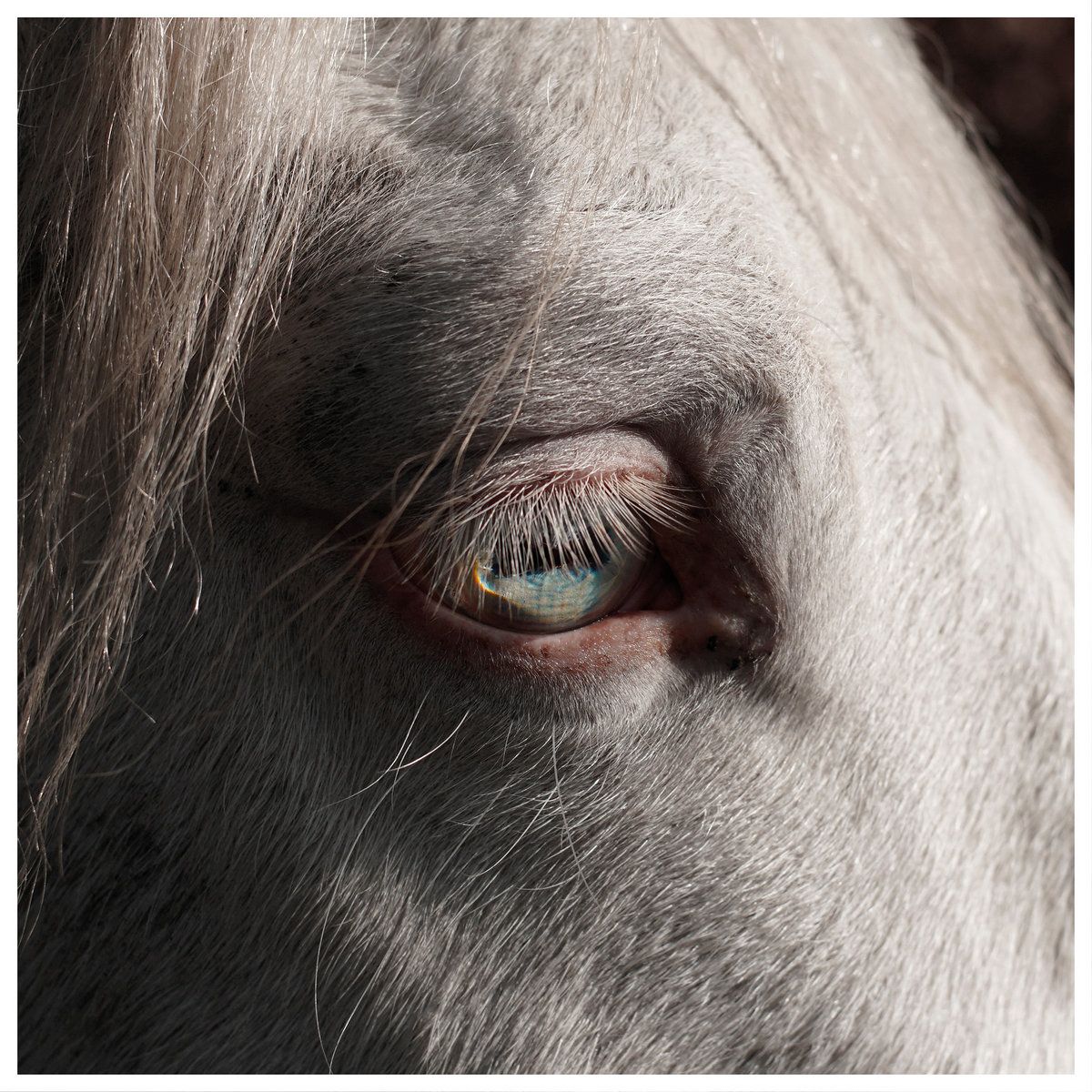 EXCLUSIVE PREMIERE: OK WAIT Are Here To Cause Some "Damage" | Heavy ...