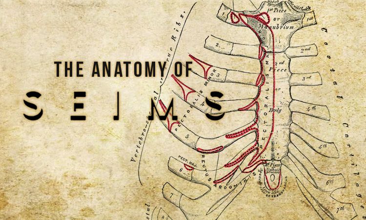 The Anatomy Of: SEIMS – Heavy Blog Is Heavy | Heavy Blog is Heavy