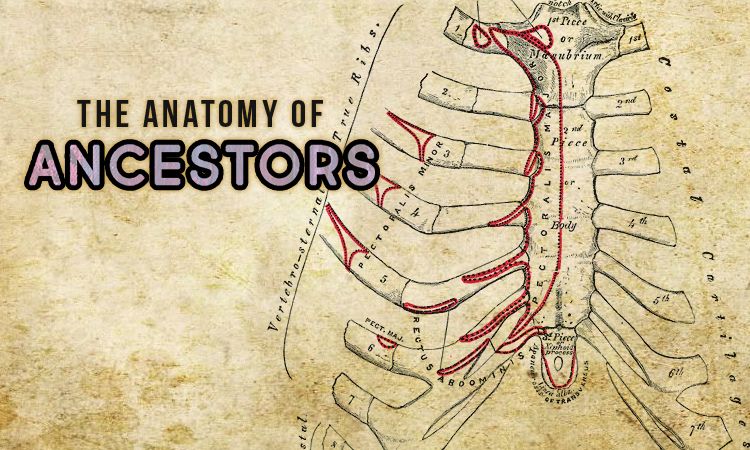 The Anatomy Of – Ancestors – Heavy Blog Is Heavy | Heavy Blog is Heavy