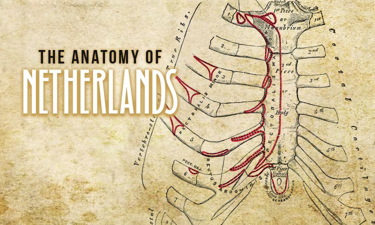 The Anatomy Of – Netherlands – Heavy Blog Is Heavy | Heavy Blog is Heavy