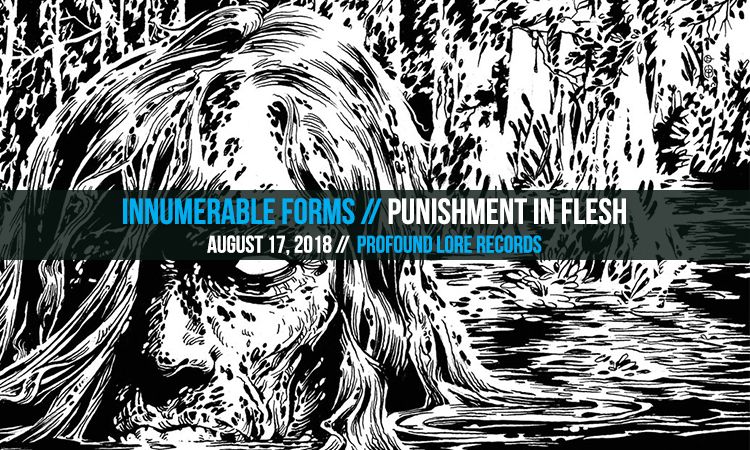 Innumerable Forms – Punishment In Flesh – Heavy Blog Is Heavy | Heavy ...