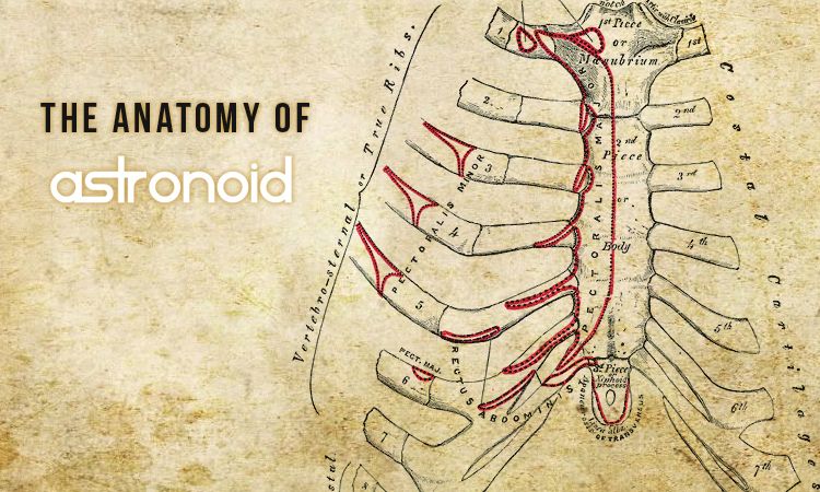 The Anatomy Of – Astronoid (Again) – Heavy Blog Is Heavy | Heavy Blog ...