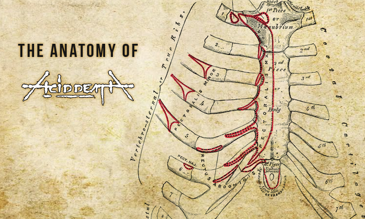 The Anatomy Of: Acid Death – Heavy Blog Is Heavy | Heavy Blog is Heavy