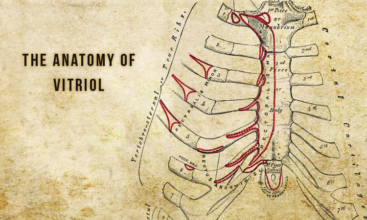 The Anatomy Of – Vitriol – Heavy Blog Is Heavy | Heavy Blog is Heavy