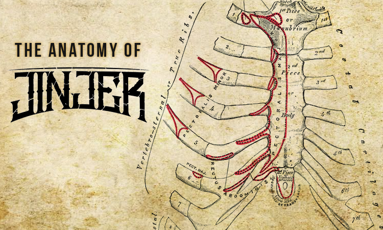 The Anatomy Of – Jinjer – Heavy Blog Is Heavy | Heavy Blog is Heavy